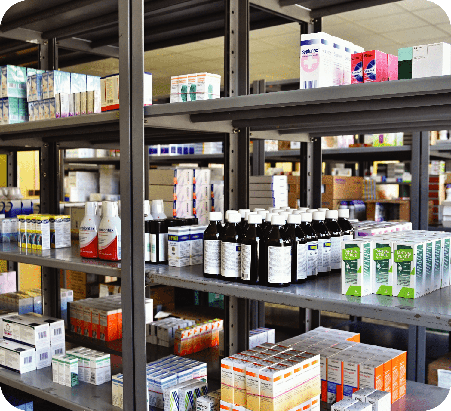 CLF Trading Sdn. Bhd. | Trusted Food & Beverage Wholesaler in Malaysia